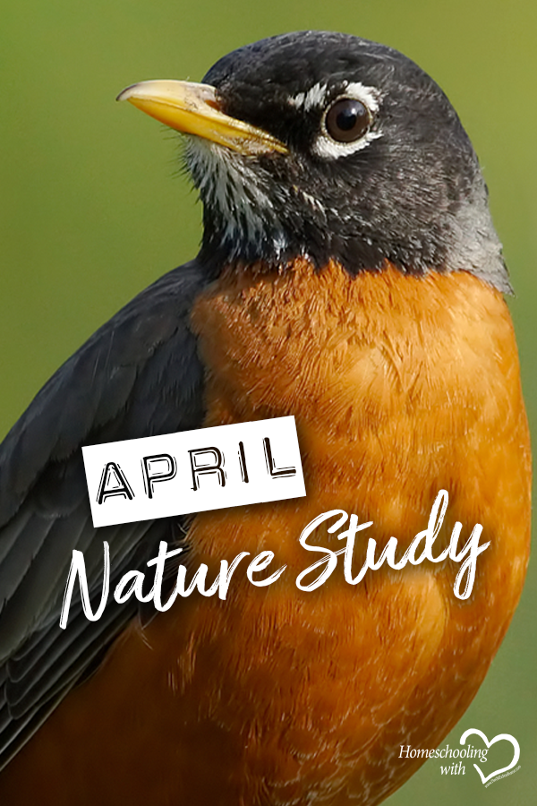 April Nature Study - How to Make a Four Week Plan of It