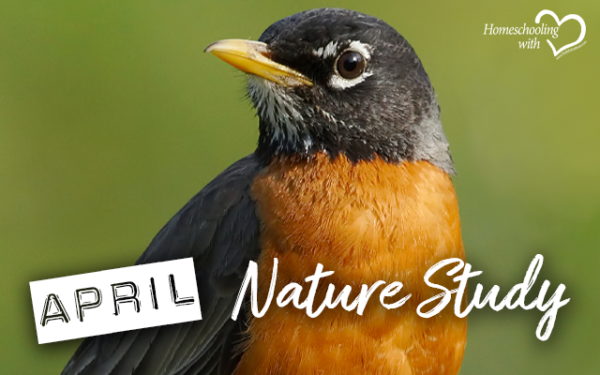 April Nature Study - How to Make a Four Week Plan of It