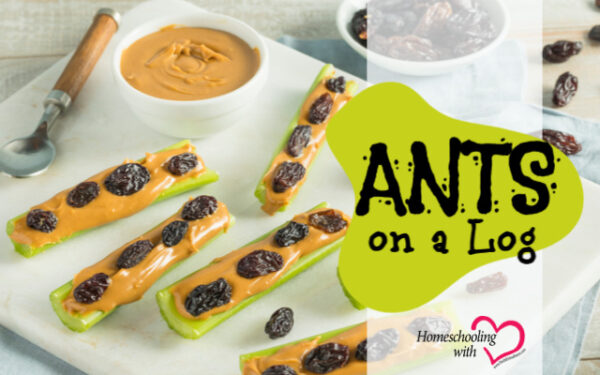 Reimagining the Classic Snack "Ants on a Log" - Abigail Frazee
