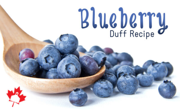 Newfoundland Blueberry Duff Recipe - The Old Schoolhouse®