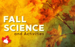 The Science of Fall (with Activities) - The Old Schoolhouse®