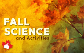 The Science of Fall (with Activities) - The Old Schoolhouse®