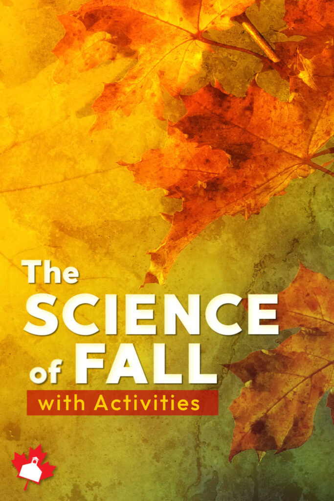 The Science of Fall with Activities-PIN - The Old Schoolhouse®
