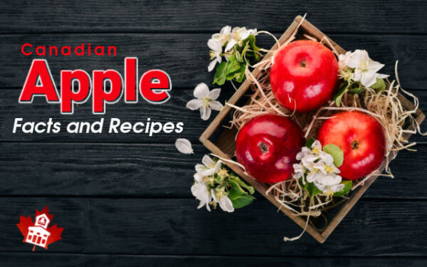 Canadian Homeschooling Laws - The Old Schoolhouse®