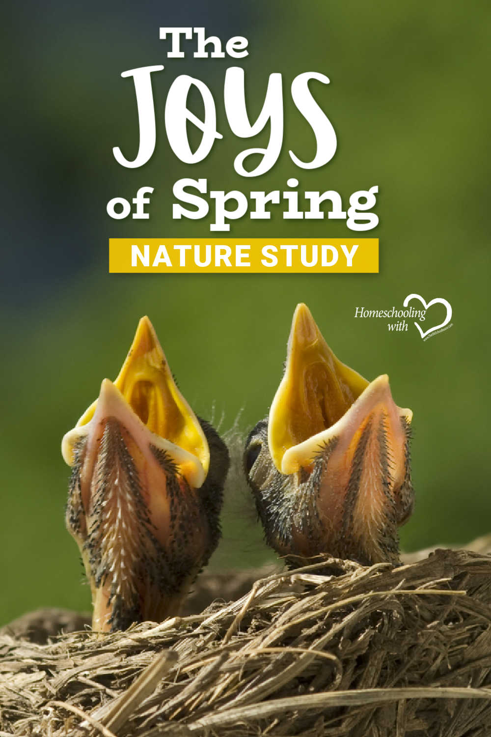 The Joys of Spring Nature Study