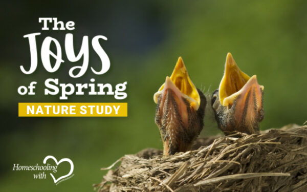 The Joys of Spring Nature Study