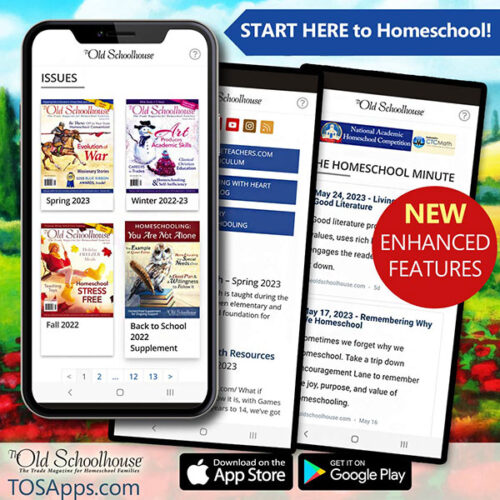 How Can We Celebrate the Homeschool Dad?