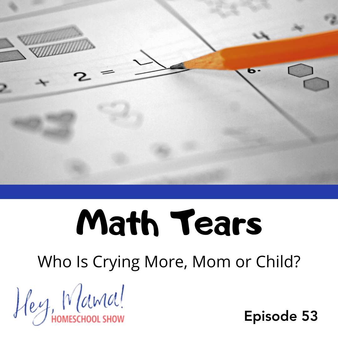 Math Tears: Who is Crying More, Mom or Child? - The Old Schoolhouse®