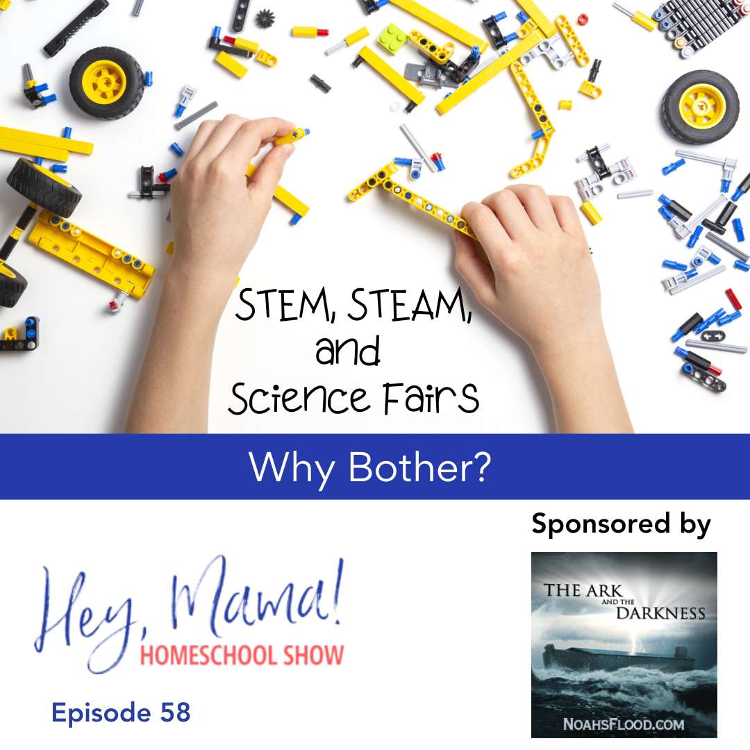 STEM, STEAM, and Science Fairs: Why Bother? - The Old Schoolhouse®