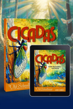 Cicadas eBook - Free Unit Study - 6 Chapters & Worksheets - The Old ...